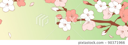 Frame material_Sakura - Stock Illustration [98371966] - PIXTA
