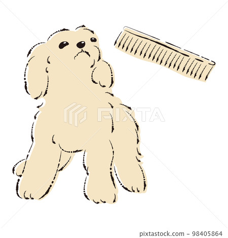 Poodle dog being brushed (trimmed) - Stock Illustration [98405864] - PIXTA
