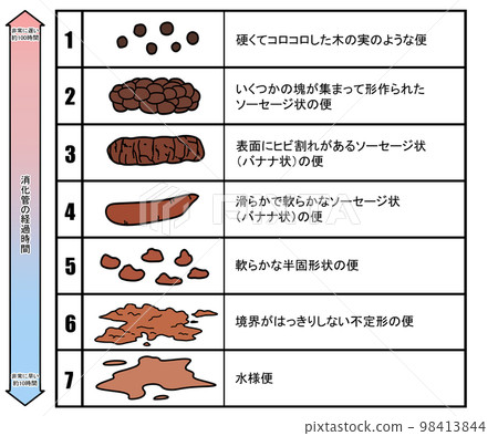 Bristol stool form scale - Stock Illustration [98413844] - PIXTA