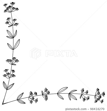 Botanical corner frame vector material of... - Stock Illustration ...
