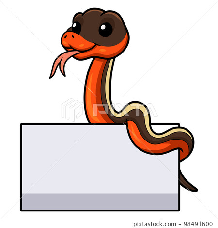 Cute garter snake cartoon with blank sign - Stock Illustration ...