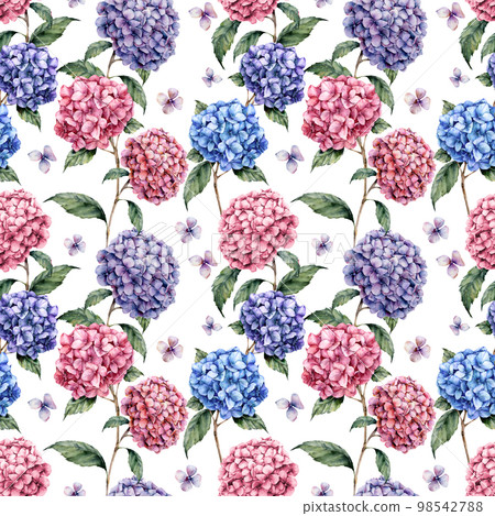 Watercolor hydrangea seamless pattern. Hand... - Stock Illustration [98542788] - PIXTA