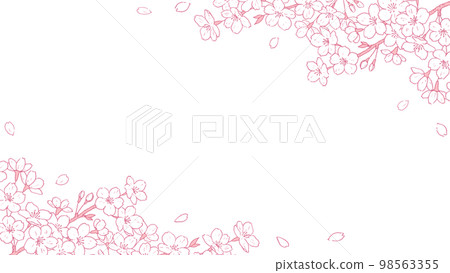 Sakura line drawing frame white background - Stock Illustration ...