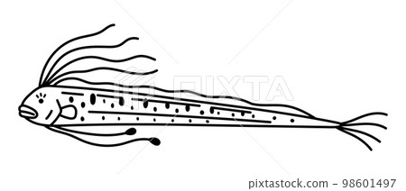 Oarfish - Stock Illustration [98601497] - PIXTA