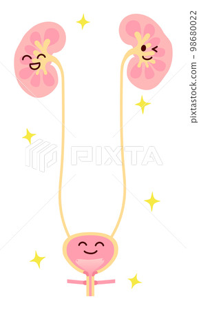 Illustration of a smiling kidney and bladder - Stock Illustration ...