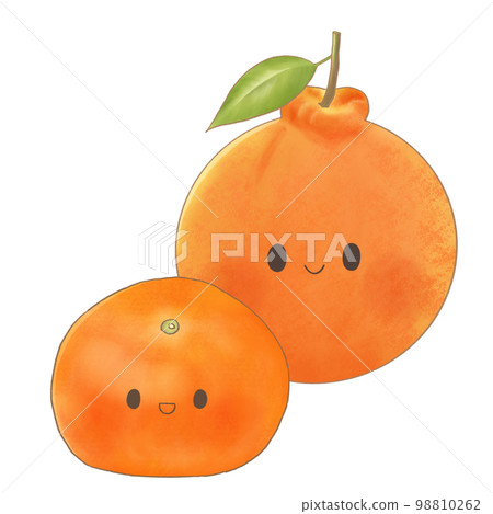 Cute mandarin oranges and dekopon - Stock Illustration [98810262] - PIXTA