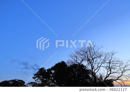 Twilight sky Sunset tree - Stock Photo [98822127] - PIXTA