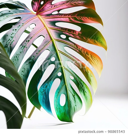 Rainbow Monstera Leaf Texture Exotic Tropical... - Stock Illustration ...