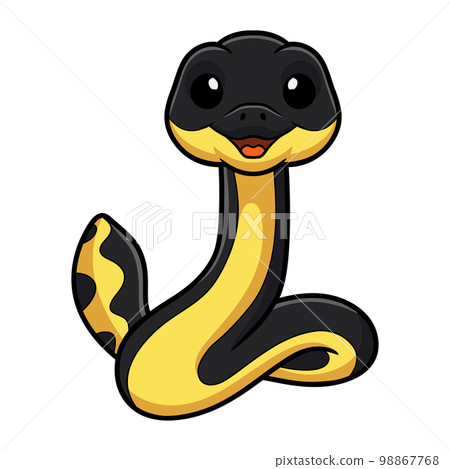 Cute yellow bellied sea snake cartoon-插圖素材 [98867768] - PIXTA圖庫