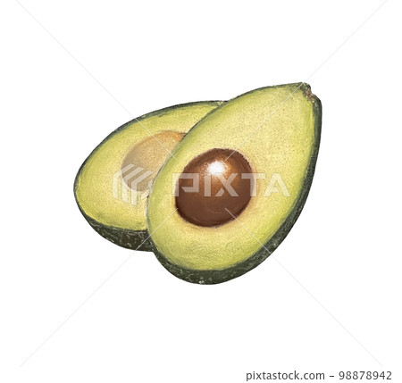 Avocado drawn with chalk art - Stock Illustration [98878942] - PIXTA