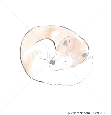 dog sleeping curled up - Stock Illustration [98944088] - PIXTA