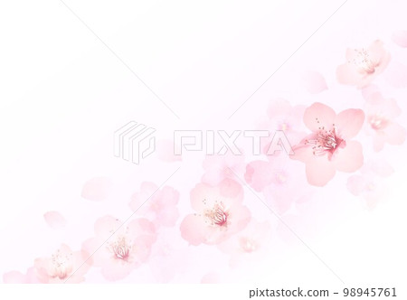 Pale spring color background of cherry blossoms - Stock Illustration ...