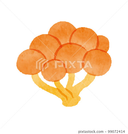 Nameko hand-drawn illustration - Stock Illustration [99072414] - PIXTA