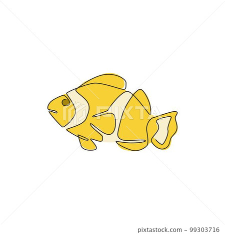 Anemonefish Drawing