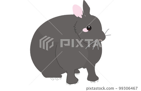 Amami Rabbit from a World Natural Heritage... - Stock Illustration ...