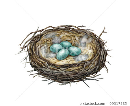 Crow Egg