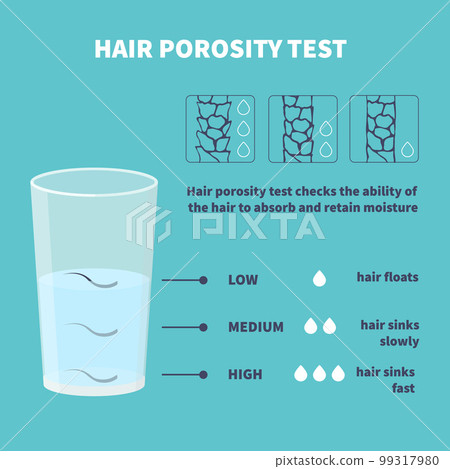Hair porosity water float test infographics poster - Stock Illustration ...