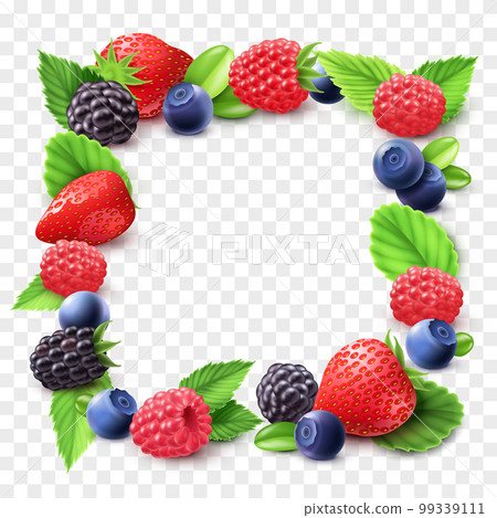 Berry Frame Transparent Illustration - Stock Illustration [99339111 ...
