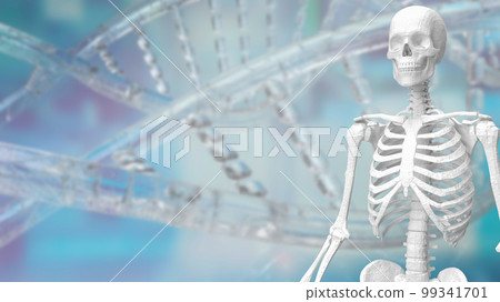 The skeleton on dna background for medical or... - Stock Illustration ...
