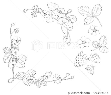 Line drawing illustration of a cute strawberry - Stock Illustration ...