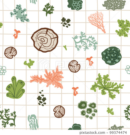 Moss pattern. Green forest mosses, lichens... - Stock Illustration ...