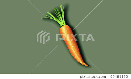 Illustration of a carrot with a green background - Stock Illustration ...