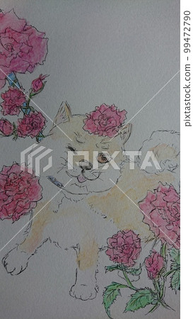 Roses and Shiba Inu - Stock Illustration [99472790] - PIXTA