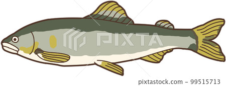 Ayu - Stock Illustration [99515713] - PIXTA