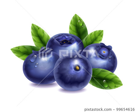 Realistic Blueberries Illustration - Stock Illustration [99654616] - PIXTA
