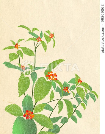 The red nut is a cute plant Senryo - Stock Illustration [99869868] - PIXTA