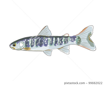 Amemasu - Stock Illustration [99882022] - PIXTA