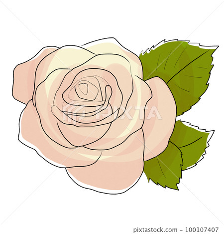 White rose icon drawing-插圖素材 [100107407] - PIXTA圖庫
