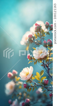 Blooming rose bush. Natural floral spring... - Stock Illustration ...