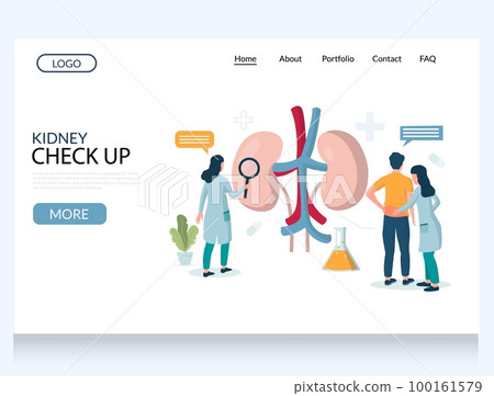 Kidney check up vector website landing page... - Stock Illustration ...