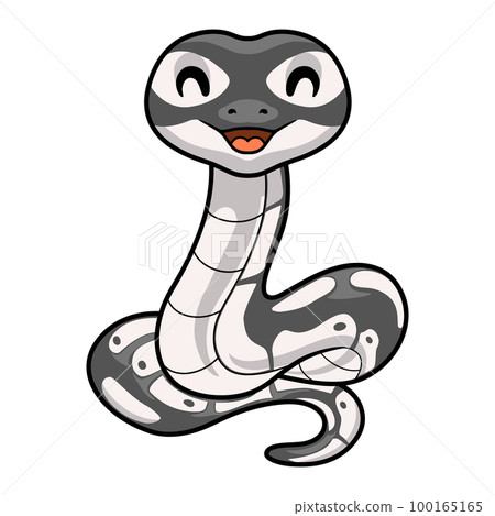 Cute axanthic ball python cartoon - Stock Illustration [100165165] - PIXTA