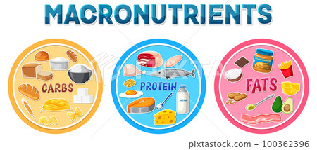 Macronutrients diagram with food ingredients - Stock Illustration ...