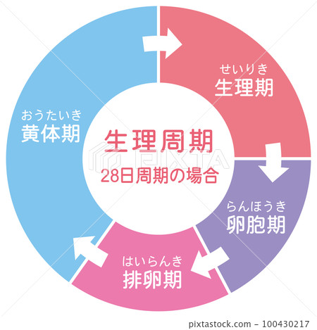 Menstrual cycle menstrual cycle pie chart - Stock Illustration ...