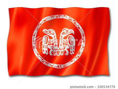 Haida people ethnic flag, Canada - Stock Illustration [100534778] - PIXTA