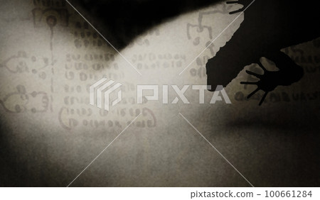 Lizard shadow - Stock Illustration [100661284] - PIXTA