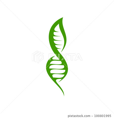 Leaf DNA icon of green plant in genetic helix,...-插圖素材 [100801995 ...