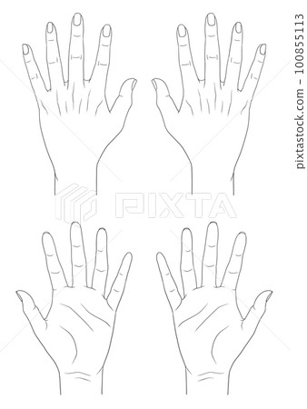 Schema (front and back of both hands) - Stock Illustration [100855113 ...