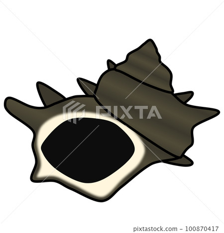 Spiky Conch Shell - Stock Illustration [100870417] - PIXTA