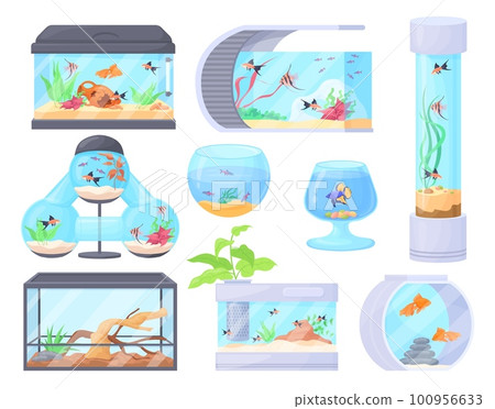 Home aquariums. Square bowl jar glass aquarium... - Stock Illustration ...
