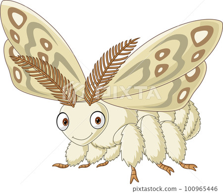 Cartoon moth insect on white background-插圖素材 [100965446] - PIXTA圖庫