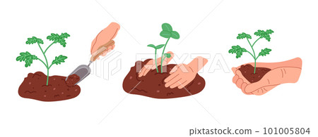 Set hand drawn illustrations of planting tree... - Stock Illustration ...