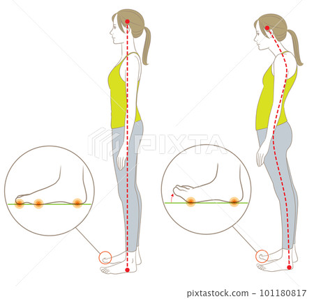 Woman with correct center of gravity posture... - Stock Illustration [101180817] - PIXTA