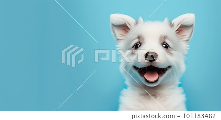 cute adorable dog smiling and isolated on blue... - Stock Illustration ...
