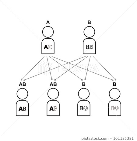 Inheritance of blood type (if parents are AO... - Stock Illustration ...