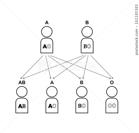 Inheritance of blood type (if parents are AO... - Stock Illustration ...