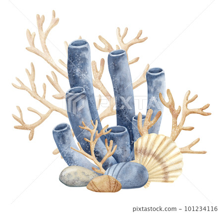 Ocean Floor Coral Drawing